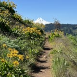 Weldon Wagon Road Trail, Washington - 532 Reviews, Map | AllTrails