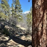 Ben Tyler Trail, Colorado - 722 Reviews, Map | AllTrails