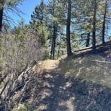 Ben Tyler Trail, Colorado - 722 Reviews, Map | AllTrails