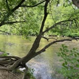 Pennypack Park Trail South Side, Pennsylvania - 274 Reviews, Map ...