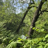 Pennypack Park Trail South Side, Pennsylvania - 274 Reviews, Map ...