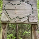 Chaptico Park Nature Trail, Maryland - 69 Reviews, Map | AllTrails