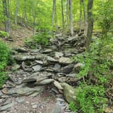 High Rocks, Pennsylvania - 3,030 Reviews, Map | AllTrails