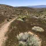 Keystone Canyon Trail, Nevada - 1,213 Reviews, Map | AllTrails