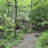 Rose River Trail, Virginia - 4,597 Reviews, Map | AllTrails