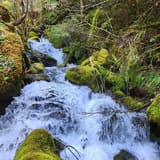 Watson Falls, Oregon - 1,142 Reviews, Map | AllTrails