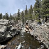 Cub Lake Loop, Colorado - 2,035 Reviews, Map | AllTrails