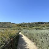 Terranea Discovery Trail, California - 1,483 Reviews, Map | AllTrails