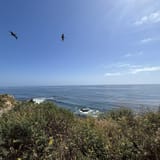 Terranea Discovery Trail, California - 1,483 Reviews, Map | AllTrails