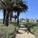 Terranea Discovery Trail, California - 1,483 Reviews, Map | AllTrails