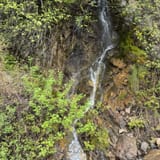 Icy Strait Point and Nature Trail, Alaska - 86 Reviews, Map | AllTrails