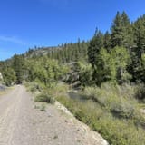Bizz Johnson Trail, California - 186 Reviews, Map | AllTrails