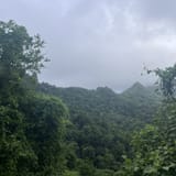 Cross Island Track and The Needle, Rarotonga, Cook Islands - 222 ...