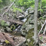 Three Ridges Loop via Appalachian Trail and Mau-Har Trail, Virginia ...