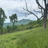 Three Ridges Loop via Appalachian Trail and Mau-Har Trail, Virginia ...