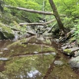 Three Ridges Loop via Appalachian Trail and Mau-Har Trail, Virginia ...