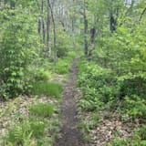 Three Ridges Loop via Appalachian Trail and Mau-Har Trail, Virginia ...