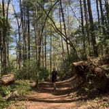 Explorer Loop, North Carolina - 447 Reviews, Map | AllTrails