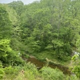 Martell Forest Loop, Indiana - 574 Reviews, Map | AllTrails