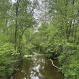 Martell Forest Loop, Indiana - 574 Reviews, Map | AllTrails