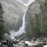 Sentinel Meadow Cook's Meadow Loop Trail, California - 3,107 Reviews ...