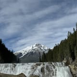 Wapta Falls, British Columbia, Canada - 3,025 Reviews, Map | AllTrails