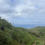 Ocean Overlook Loop, California - 1,003 Reviews, Map | AllTrails