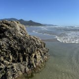Haystack Rock, Oregon - 649 Reviews, Map | AllTrails