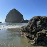 Haystack Rock, Oregon - 649 Reviews, Map | AllTrails