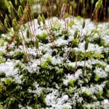 Grand Ridge Park Trail, Washington - 396 Reviews, Map | AllTrails