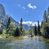 Sentinel Meadow Cook's Meadow Loop Trail, California - 3,211 Reviews ...