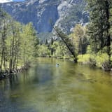 Sentinel Meadow Cook's Meadow Loop Trail, California - 3,107 Reviews ...