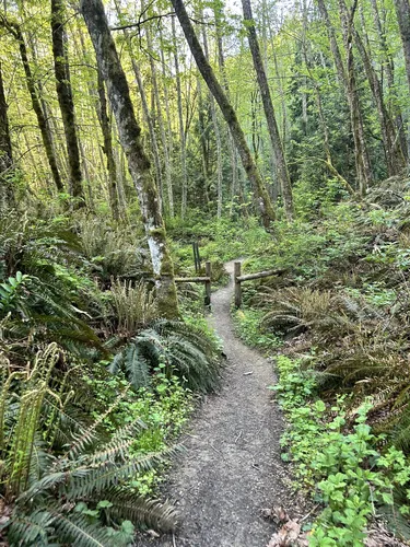 Best Lake Trails in Larrabee State Park | AllTrails