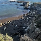San Simeon Bay Trail, California - 1,339 Reviews, Map | AllTrails