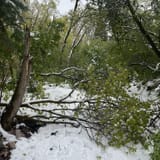 Neff's Canyon Loop, Utah - 2,507 Reviews, Map | AllTrails