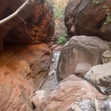 Spring Creek Canyon, Utah - 1,239 Reviews, Map | AllTrails