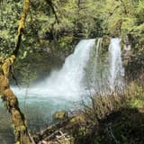 Kalama Falls Trail, Washington - 553 Reviews, Map | AllTrails