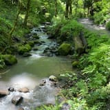 Lower Macleay Park to Pittock Mansion, Oregon - 4,275 Reviews, Map ...