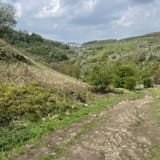 Chee Dale Gorge Circular, Derbyshire, England - 1,403 Reviews, Map ...
