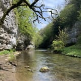 Chee Dale Gorge Circular, Derbyshire, England - 1,403 Reviews, Map ...