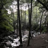 Millard Canyon Falls Trail, California - 4,637 Reviews, Map | AllTrails