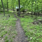 Appalachian Trail: Keys Gap to David Lesser Memorial Shelter, West ...