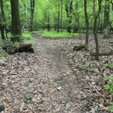 Appalachian Trail: Keys Gap to David Lesser Memorial Shelter, West ...