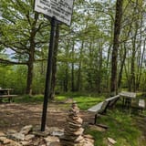 Hoye Crest (Backbone Mountain), West Virginia - 615 Reviews, Map ...