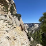 The Grotto Trailhead to The West Rim, Utah - 1,650 Reviews, Map | AllTrails