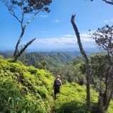 Mānana Ridge Trail, Oahu, Hawaii - 1,000 Reviews, Map | AllTrails