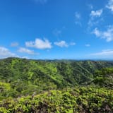 Mānana Ridge Trail, Oahu, Hawaii - 1,000 Reviews, Map | AllTrails