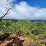 Mānana Ridge Trail, Oahu, Hawaii - 1,000 Reviews, Map | AllTrails