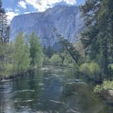 Sentinel Meadow Cook's Meadow Loop Trail, California - 3,211 Reviews ...
