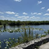 Anhinga Trail, Florida - 1,711 Reviews, Map | AllTrails